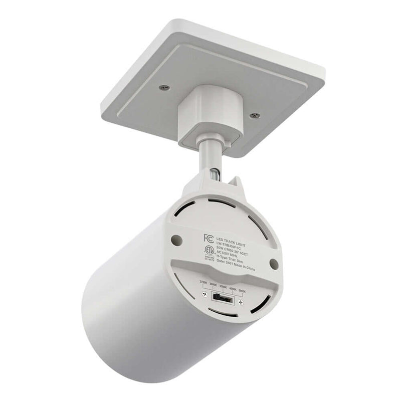 VBD-0343-MCW Track Monopoint Canopy White